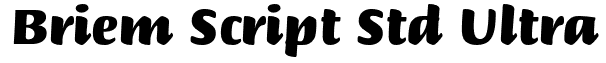 Briem Script Std Ultra Font: Free Download | MaisFontes