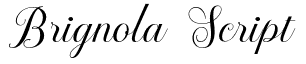 Brignola Script Font: Free Download | MaisFontes