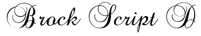 Brock Script D: Free Font Download | MaisFontes