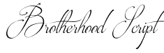 Brotherhood Script: Free Font Download | MaisFontes
