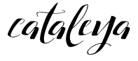 cataleya Font: Free Download | MaisFontes