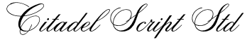 Citadel Script Font: Free Download | MaisFontes