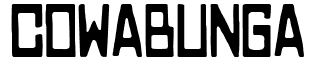 COWABUNGA: Free Font Download | MaisFontes