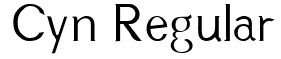 Cyn Regular: Free Font Download | MaisFontes