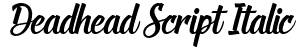 Deadhead Script: Free Font Download | MaisFontes