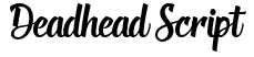Deadhead Script: Free Font Download | MaisFontes