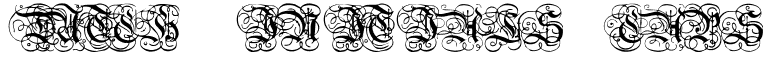 DUTCH INITIALS CAPS: Free Font Download | MaisFontes