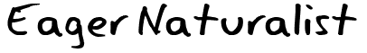 Eager Naturalist: Free Font Download | MaisFontes