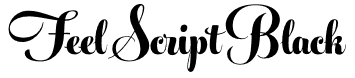 Feel Script Black: Baixar Fonte Grátis | MaisFontes