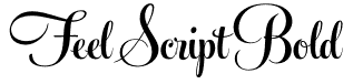 Feel Script Bold: Free Font Download | MaisFontes