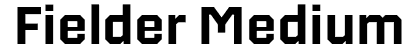Fielder Medium Font: Free Download | MaisFontes