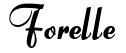 Forelle: Free Font Download | MaisFontes