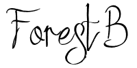 Forest B: Free Font Download | MaisFontes