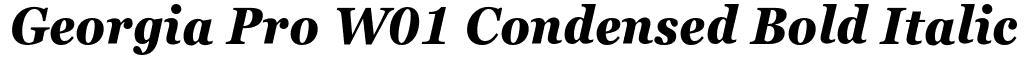 Georgia Pro W01 Condensed Bold Italic Font: Free Download | MaisFontes