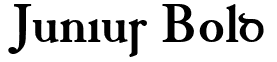Junius Bold Font: Free Download | MaisFontes