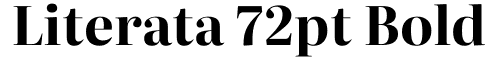 Download Literata 72pt Fonts (Google Fonts) | MaisFontes