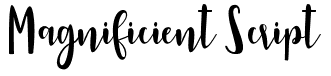 Magnificient Script Font: Free Download | MaisFontes