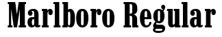 Marlboro Regular: Free Font Download | MaisFontes