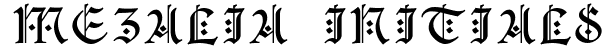 Mezalia Initials Font: Free Download | MaisFontes