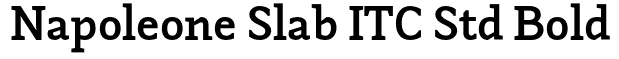 Napoleone Slab ITC Std Bold Font: Free Download | MaisFontes