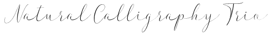 Natural Calligraphy Trio: Download Free Font | MaisFontes