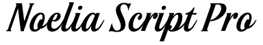 Noelia Script Pro Font: Free Download | MaisFontes