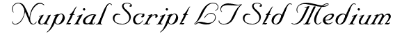 Nuptial Script: Free Font Download | MaisFontes