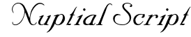 Nuptial Script: Free Font Download | MaisFontes