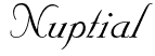 Nuptial Script: Free Font Download | MaisFontes
