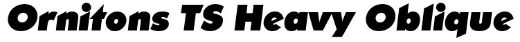 Ornitons TS Heavy Oblique Font: Free Download | MaisFontes