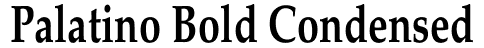 Palatino：免费字体下载 | MaisFontes