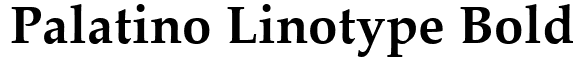 Palatino Linotype Font: Free Download | MaisFontes