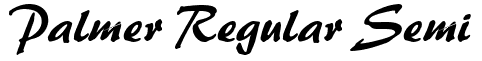 Palmer Script Font: Free Download | MaisFontes