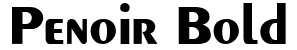 Penoir Bold Font: Free Download | MaisFontes