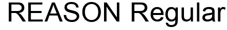 REASON Regular Font: Free Download | MaisFontes
