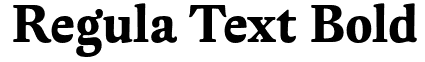 Regula Text Bold: Free Font Download | MaisFontes