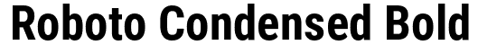 Roboto Condensed Bold：免费字体下载 | MaisFontes