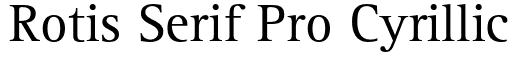 Rotis Serif Pro Cyrillic Font: Free Download | MaisFontes