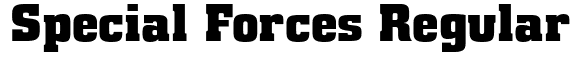 Special Forces Regular Font: Free Download | MaisFontes