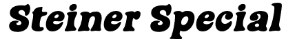 Steiner Special Font: Free Download | MaisFontes