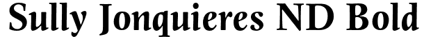 Sully Jonquieres ND Bold: Free Font Download | MaisFontes