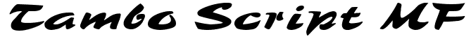 Tambo Script MF: Free Font Download | MaisFontes