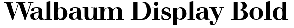 Walbaum Display: Free Font Download | MaisFontes