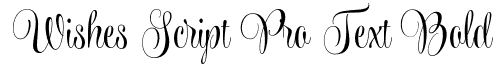 Wishes Script Pro Text Bold: Free Font Download | MaisFontes