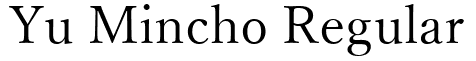 Yu Mincho Regular font download | MaisFontes.com