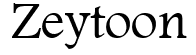 Zeytoon Font: Free Download | MaisFontes